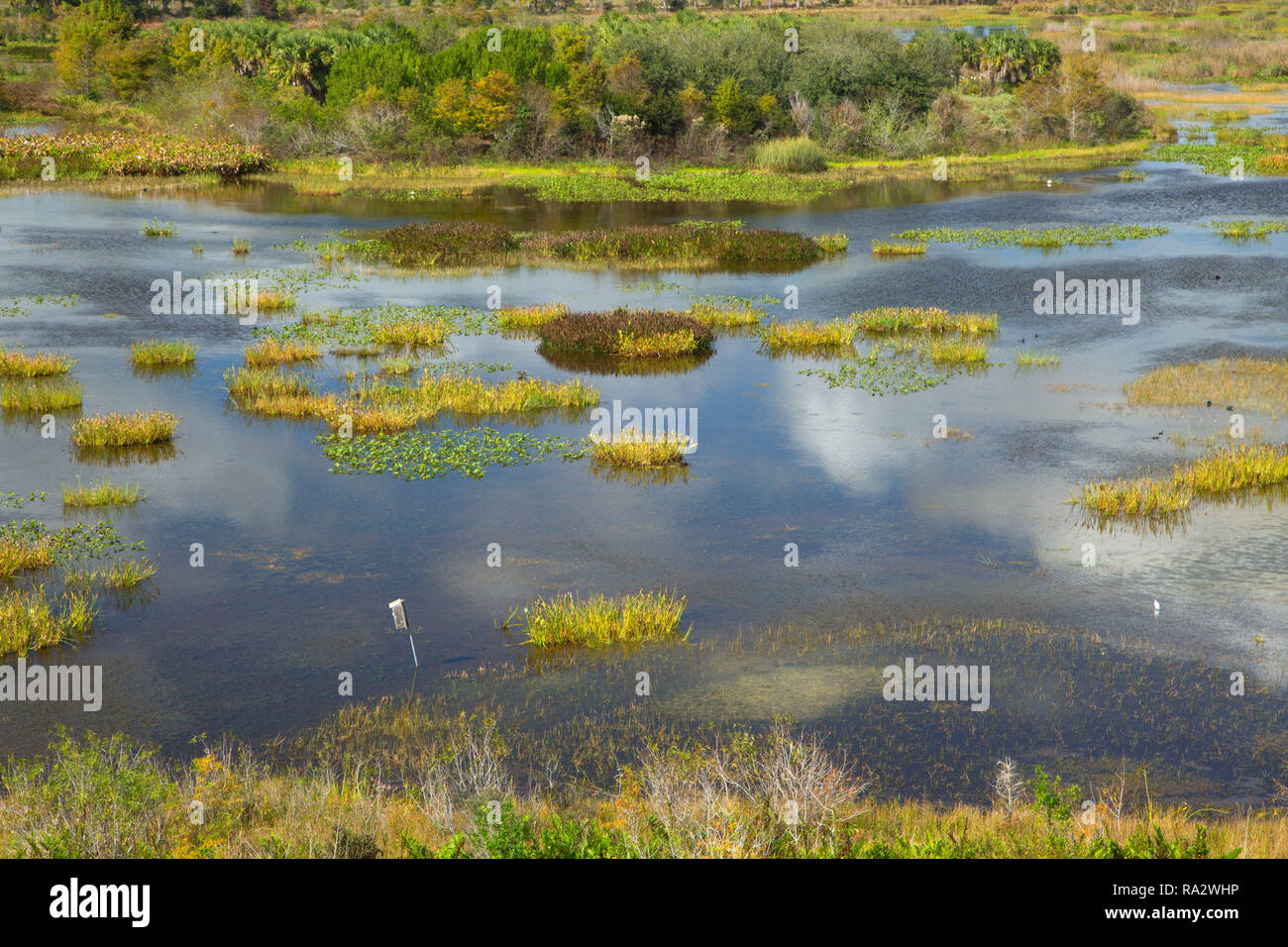 Marsh wetland from observation tower, Wellington Environmental Preserve ...