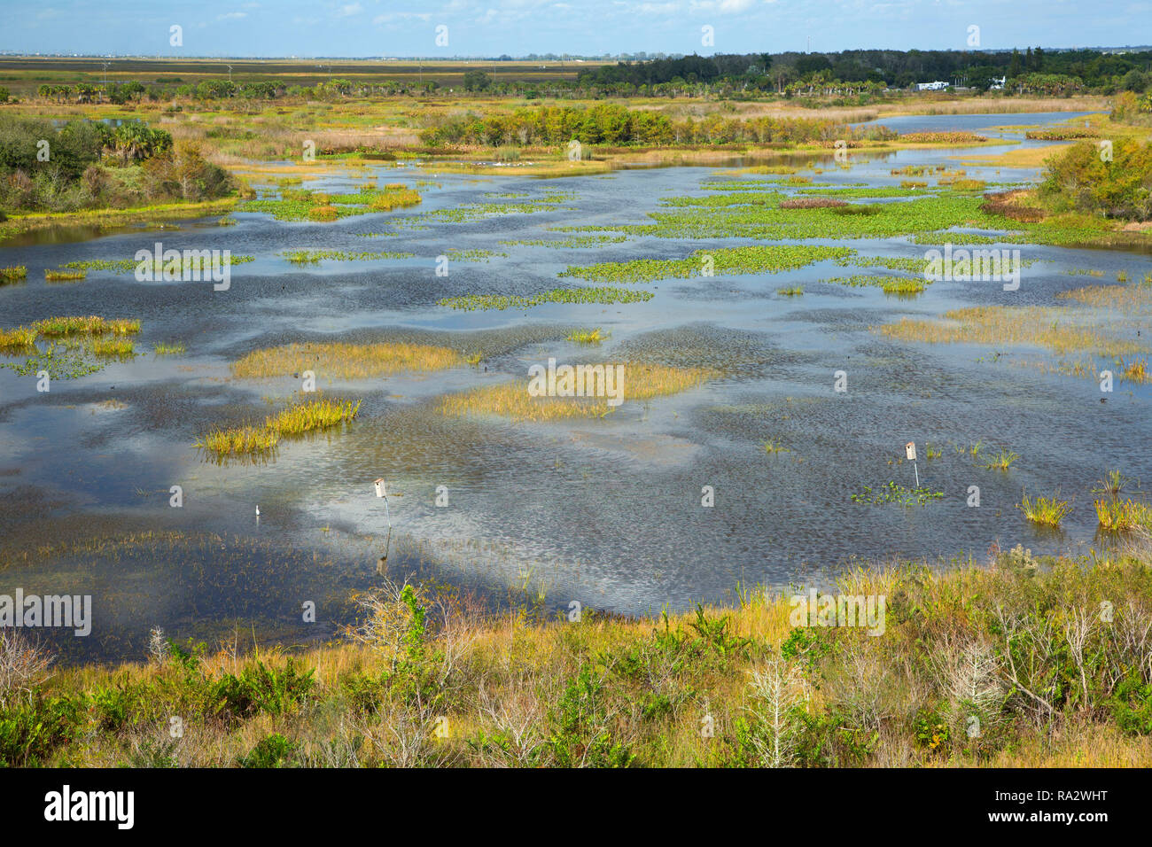 Marsh wetland from observation tower, Wellington Environmental Preserve ...