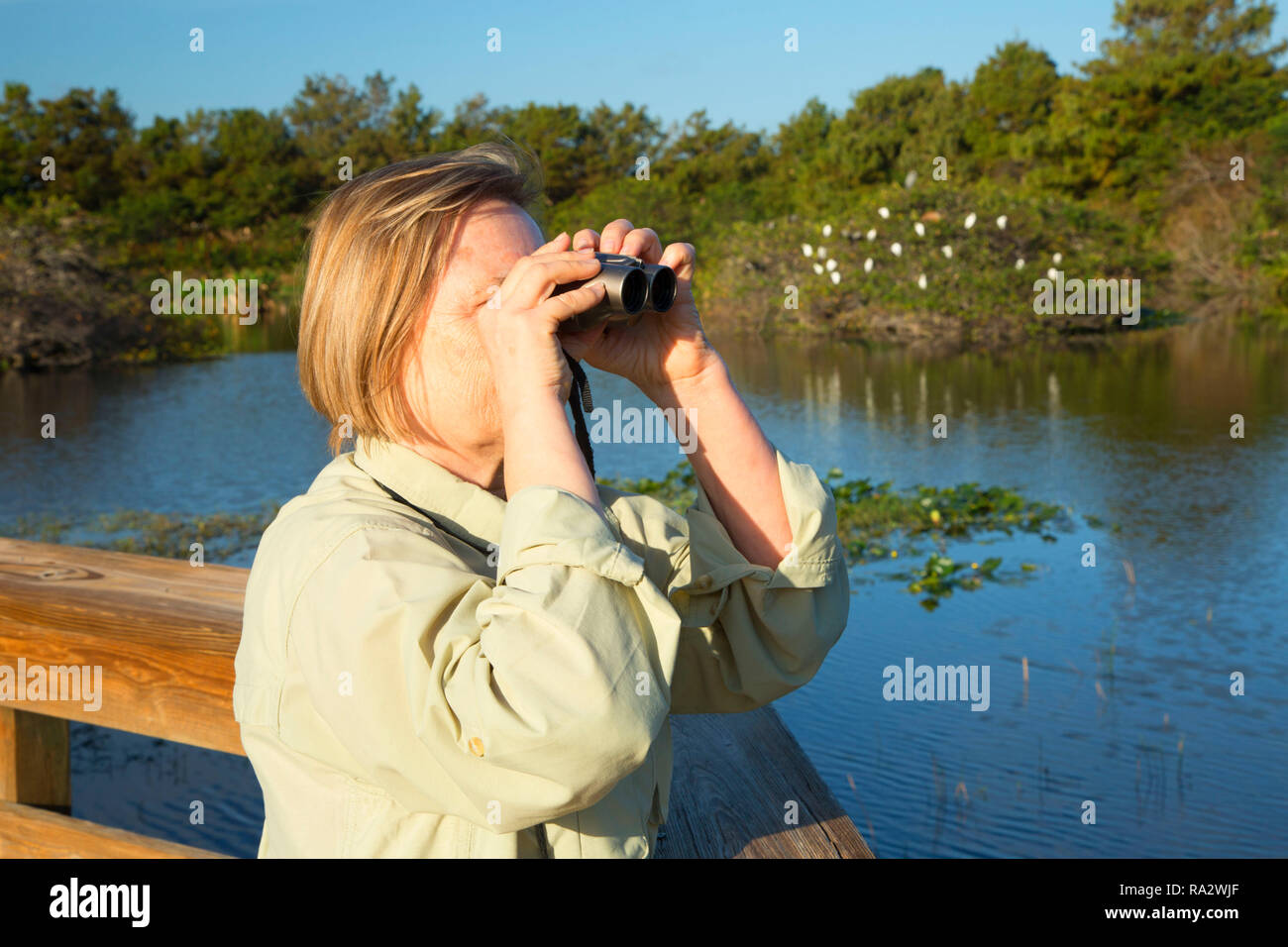 Birding along boardwalk, Wakodahatchee Wetlands, Delray Beach, Florida ...