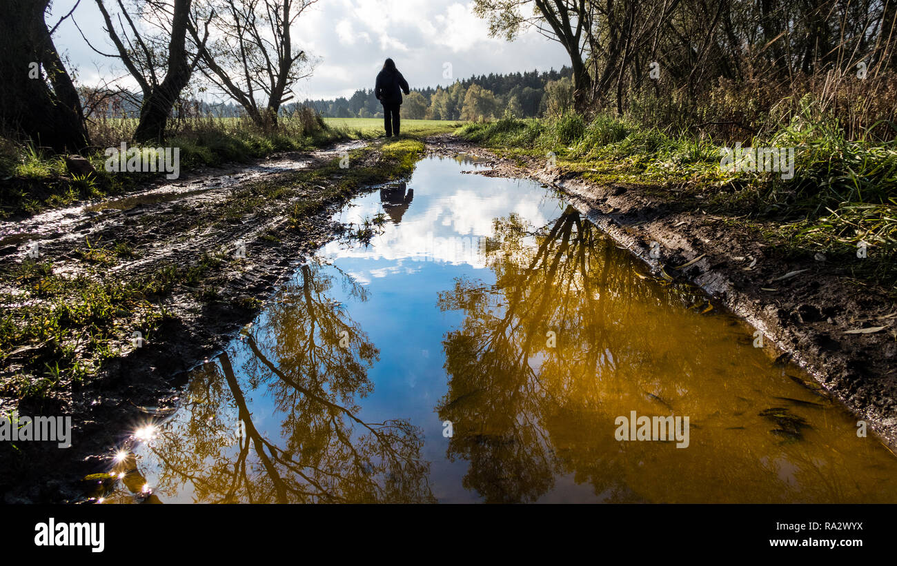 Human figure on off-road track. Tree mirroring in water close-up. Man ...