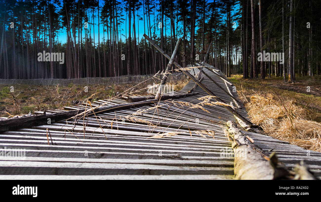 Close-up of a fallen fence of reforested area. Rural forest. Damaged ...