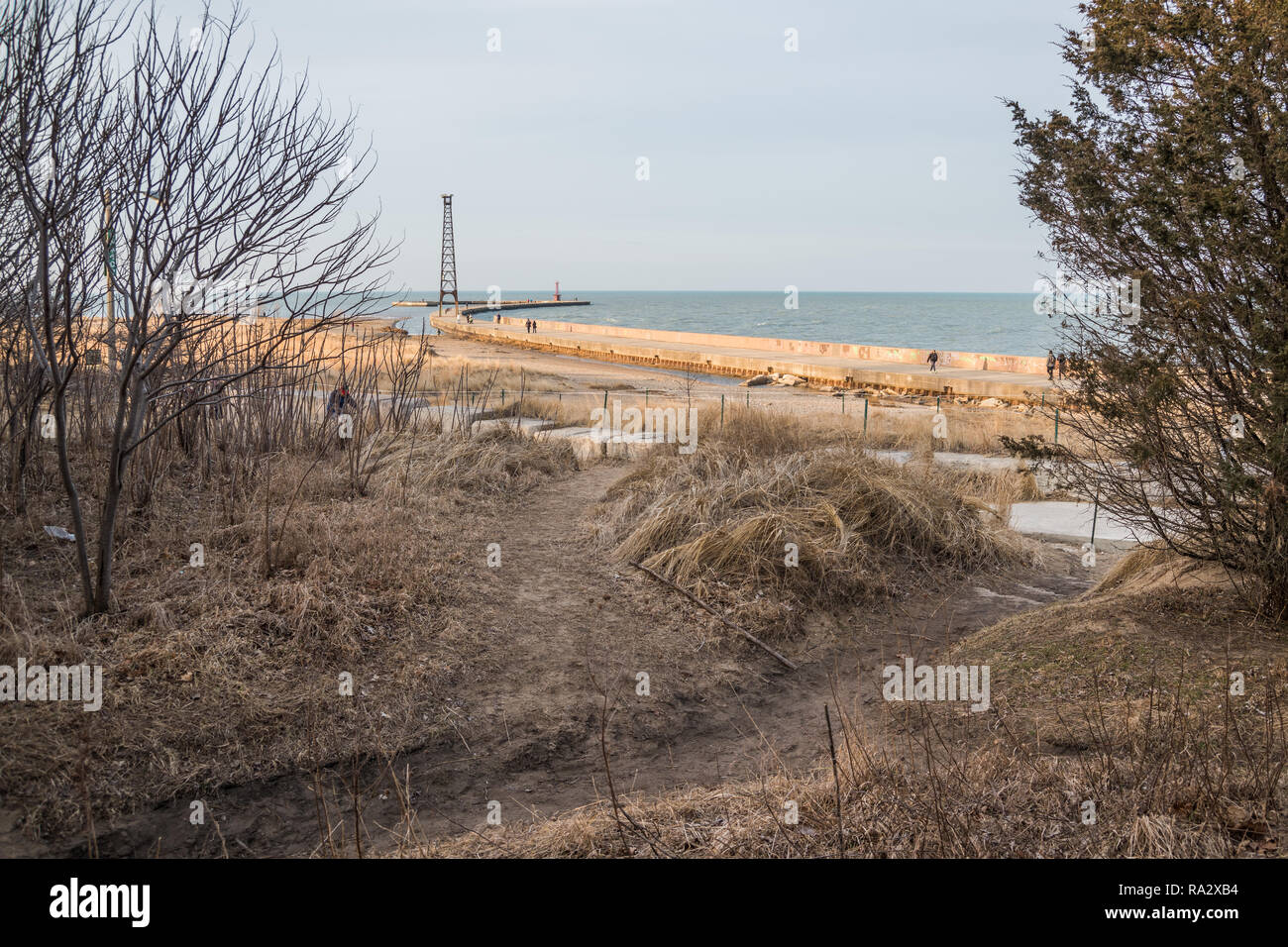 Chicago lake michigan trees hi-res stock photography and images - Alamy