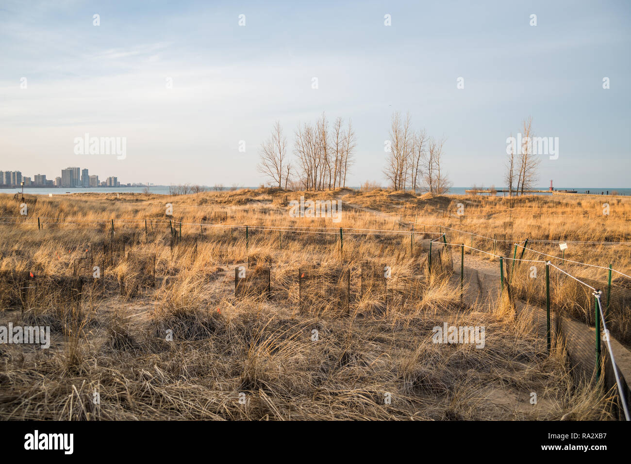 Prairie landscape at Montrose Harbor with view of Lake Michigan Stock ...