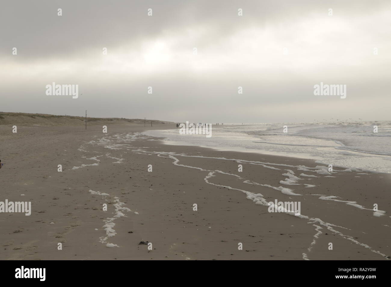 The shore of the North Sea in the Netherlands Stock Photo - Alamy