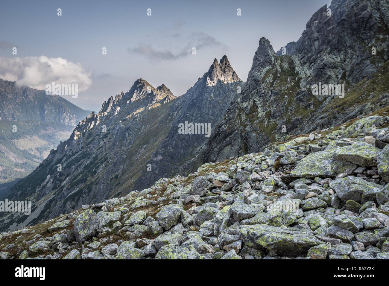 Nice view of the Tatras Stock Photo - Alamy