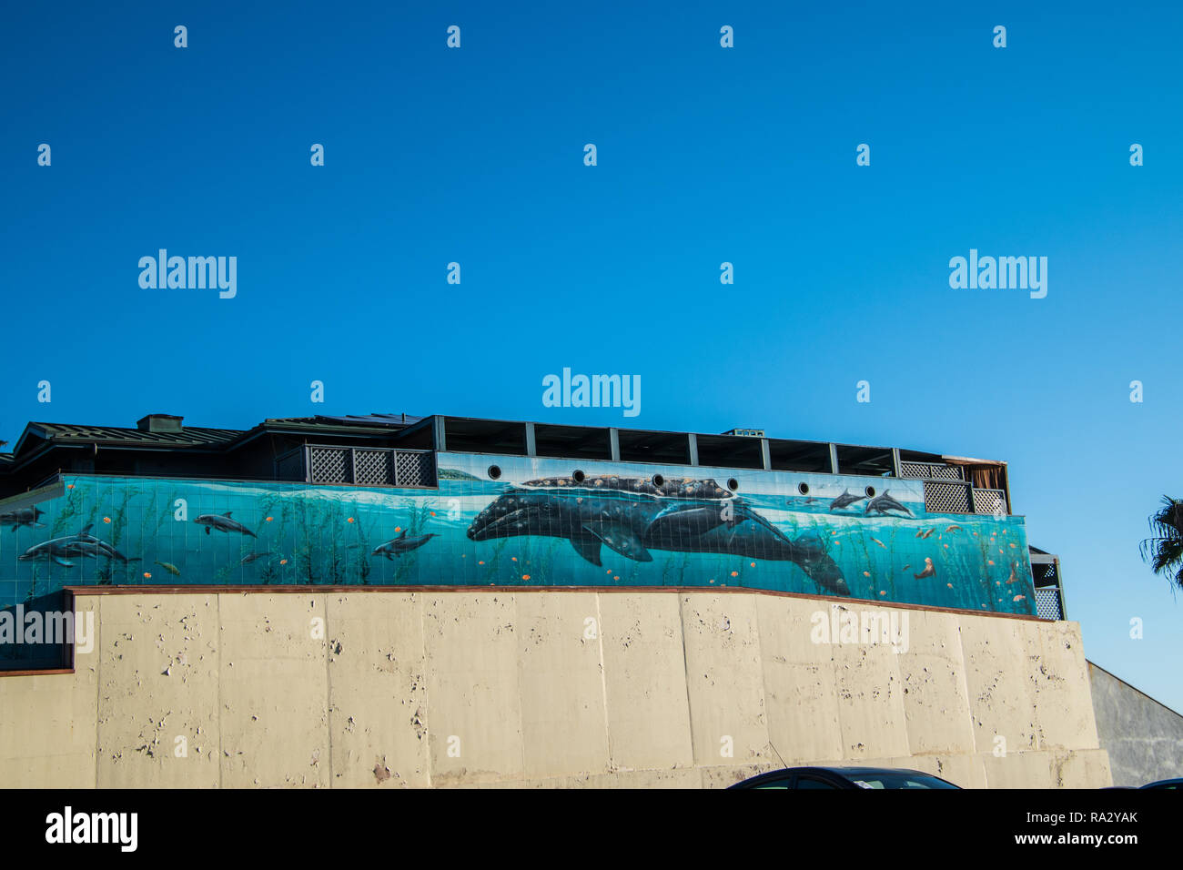Underwater Scene Drawing High Resolution Stock Photography and Images ...