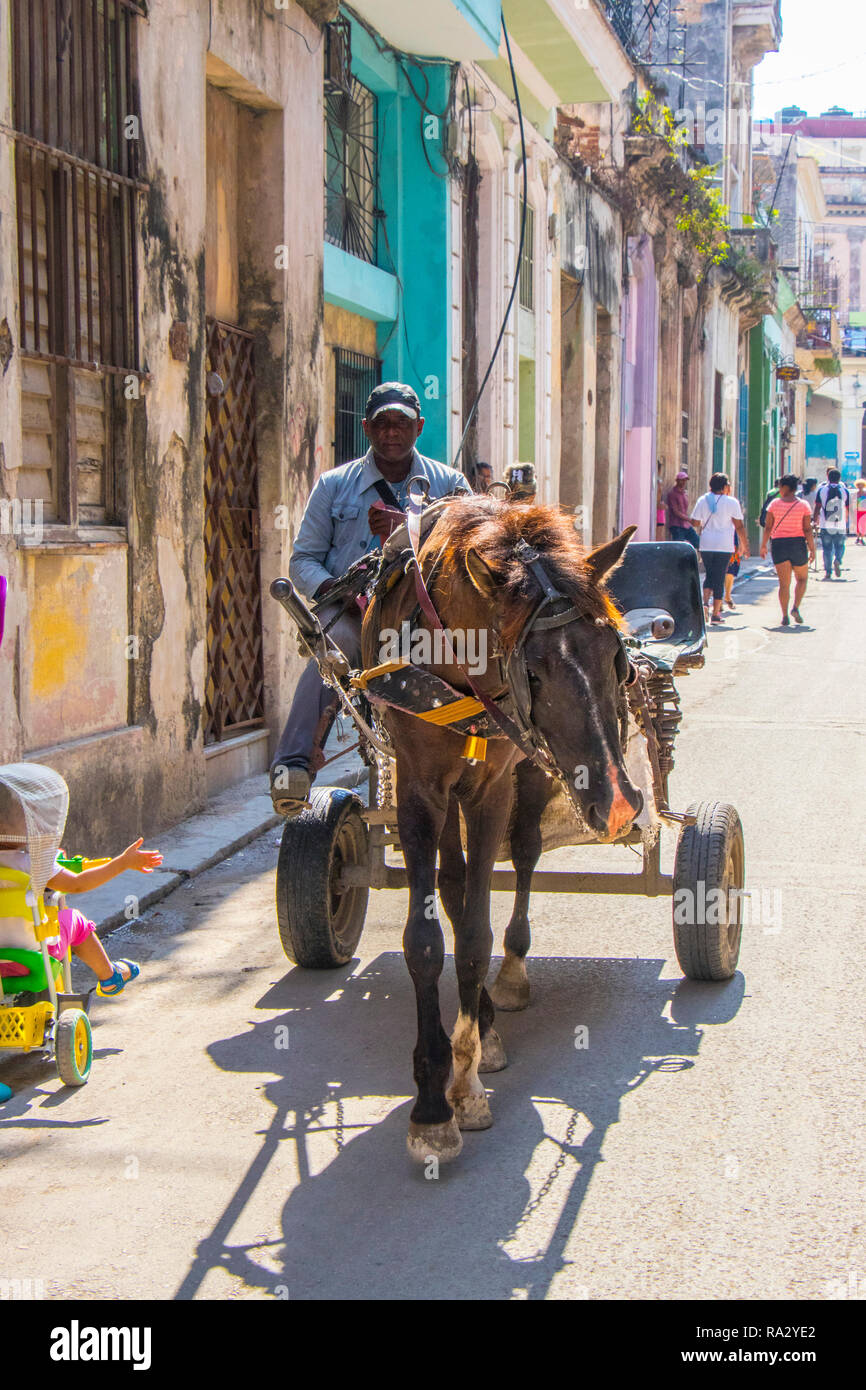cuban man leads horse drawn trailer in street in Havana, Cuba ...