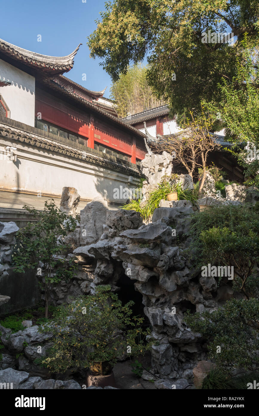 Yuan tree hi-res stock photography and images - Alamy