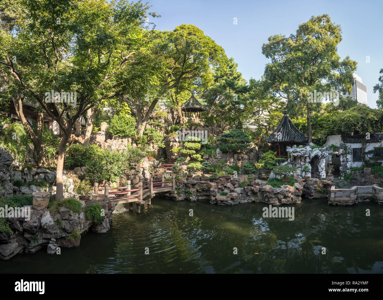 Yuan tree hi-res stock photography and images - Alamy