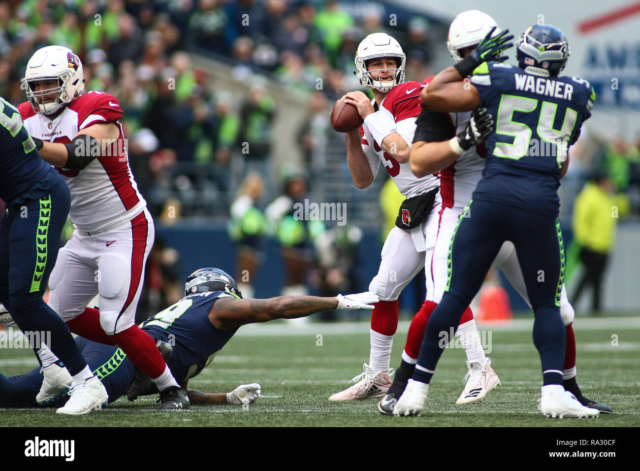 Josh rosen cardinals hi-res stock photography and images - Alamy