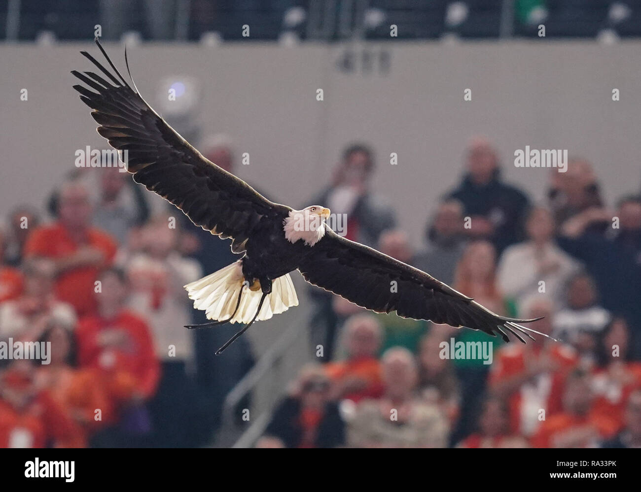 Eagle stadium stadium texas hi-res stock photography and images - Alamy