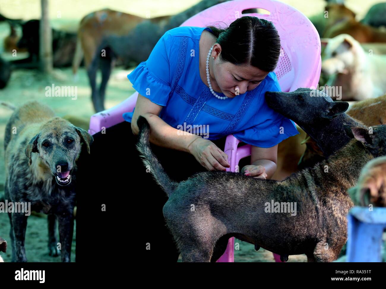 Yangon, Myanmar. 18th Dec, 2018. Hnin Si Myint, founder of an animal ...