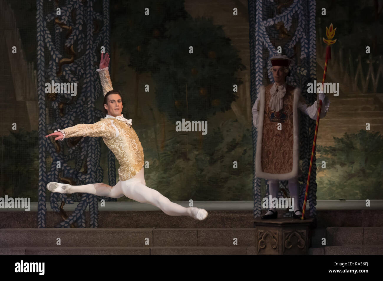 Budapest, Hungary. 31st Dec, 2018. A member of the Hungarian National ...