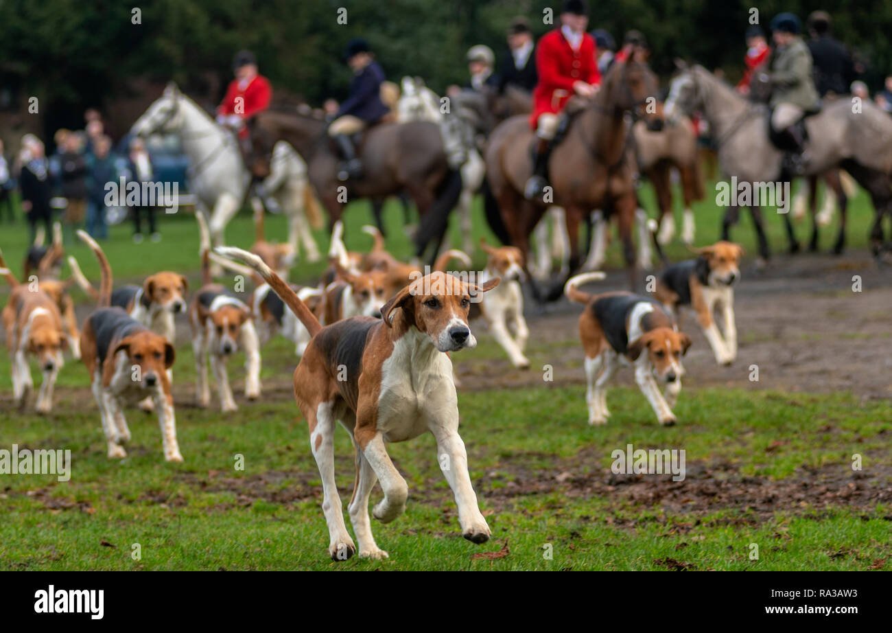 The cottesmore hunt hi-res stock photography and images - Alamy