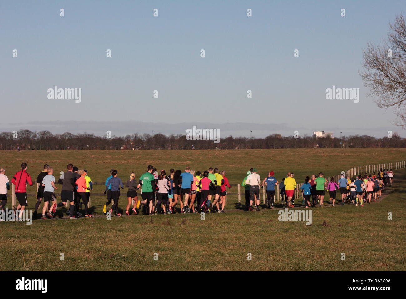 Cheetham park hi-res stock photography and images - Alamy