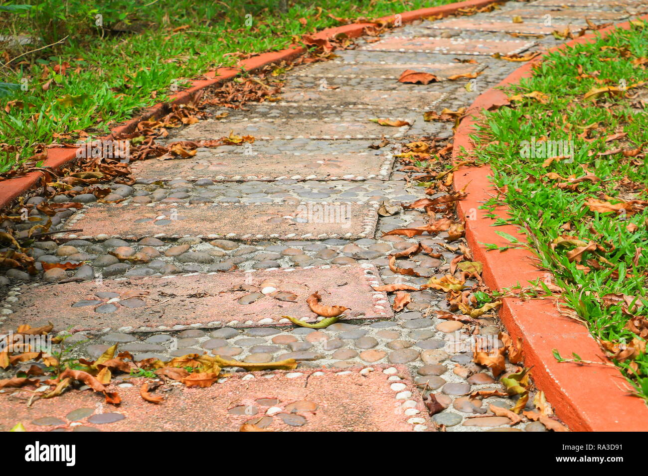Stone block walkway path in the park dry leaf drop in autumn :Select ...