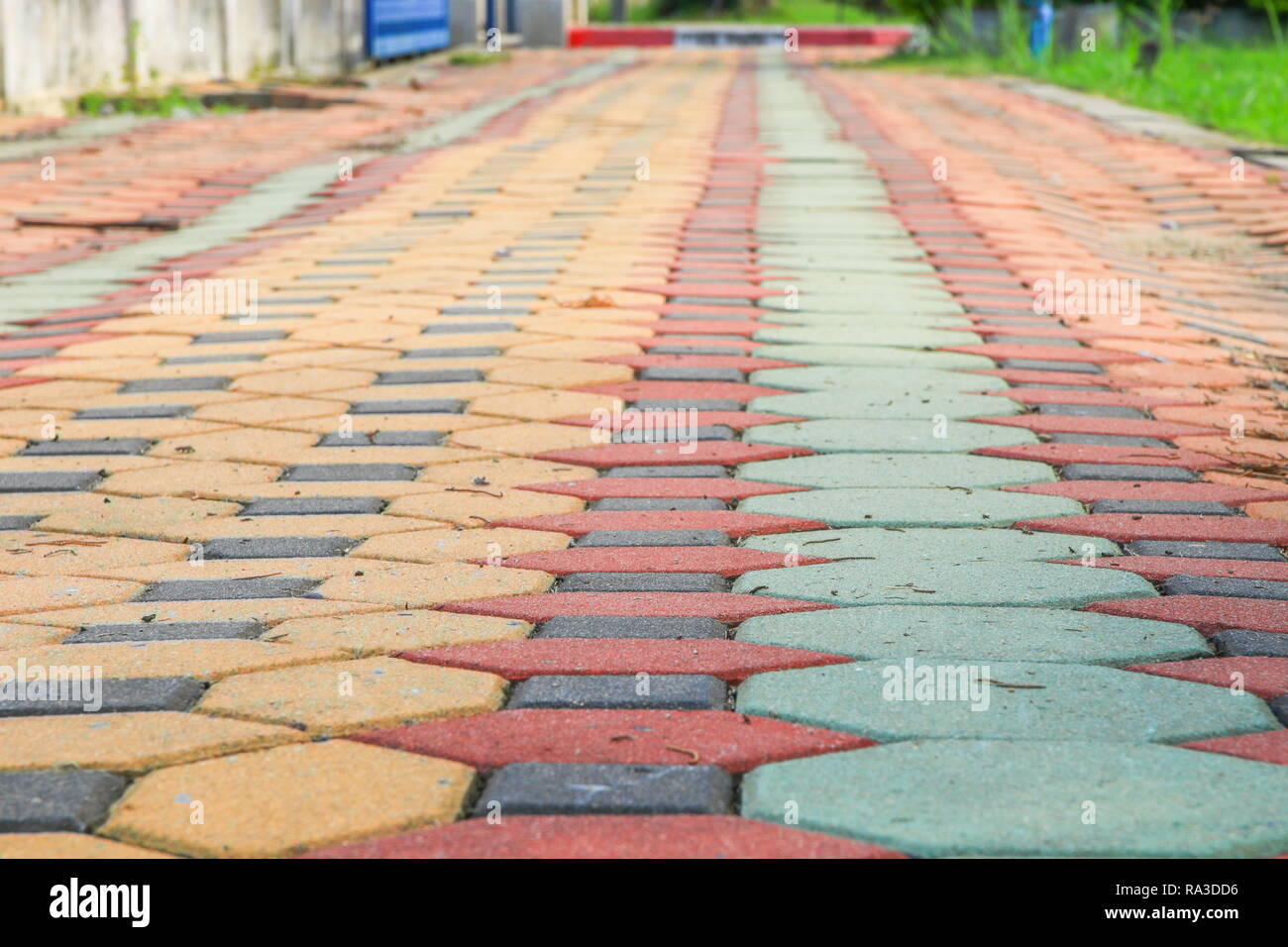 walkway block stone color cement in the park and copy space add text ...