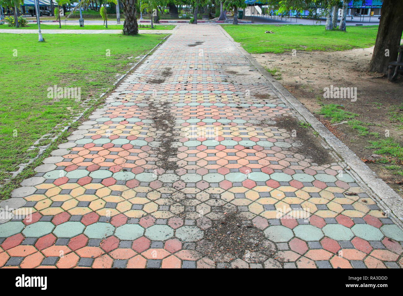 walkway block stone color cement in the park and copy space add text ...