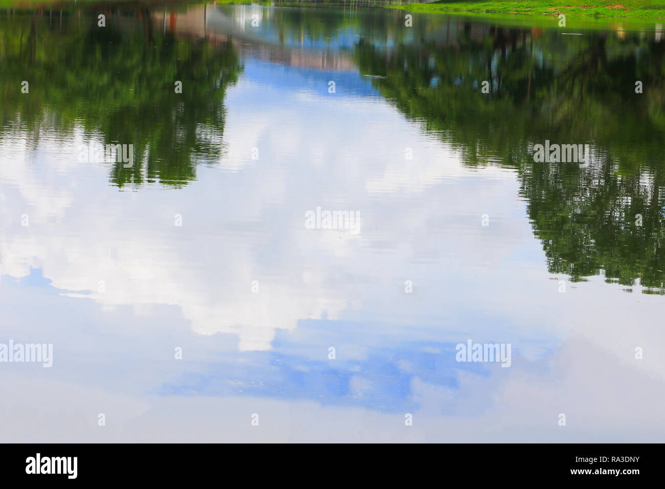 water reflection landscape in public park on white background Stock ...