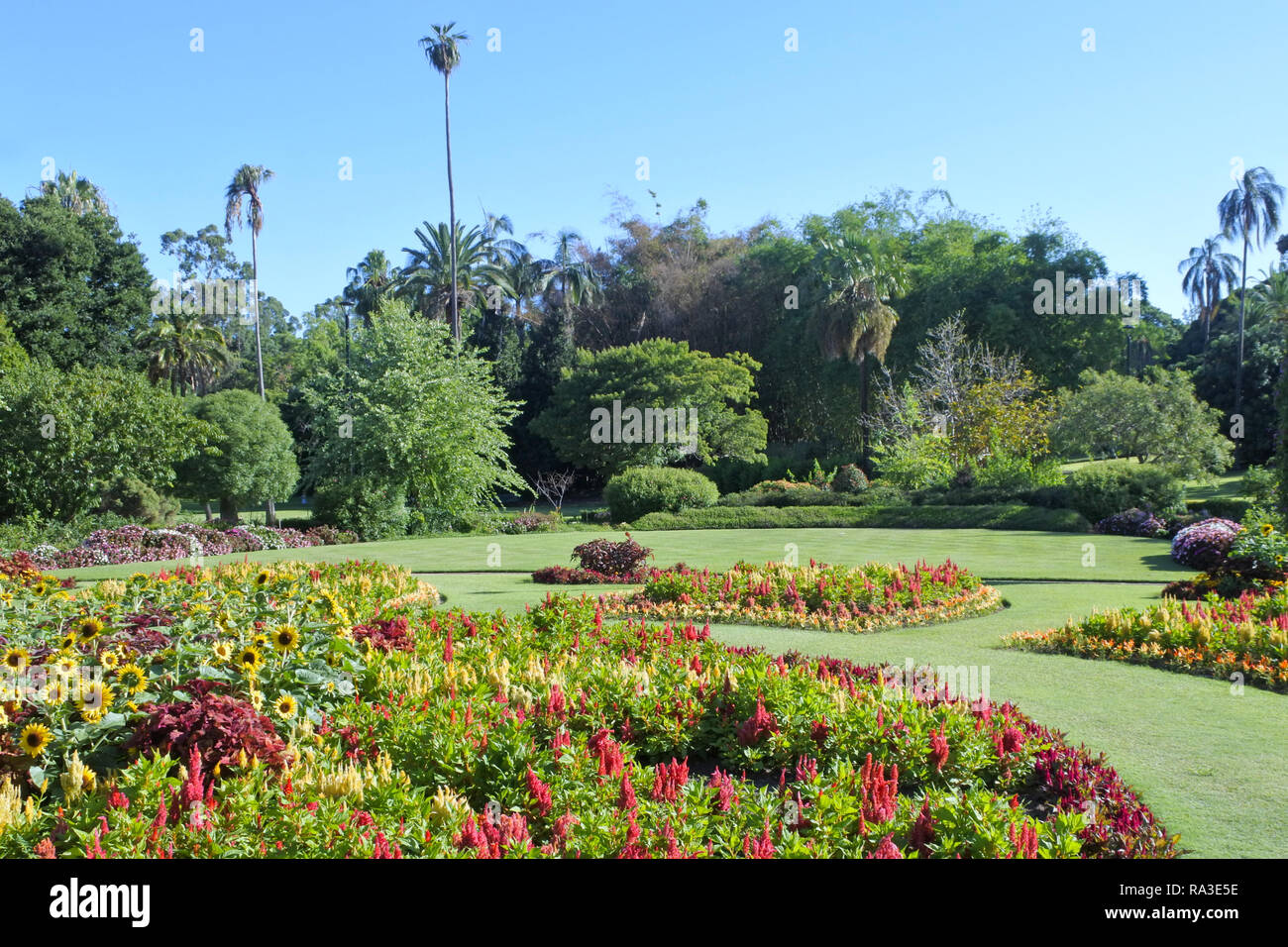Brisbane Botanic Gardens High Resolution Stock Photography and Images ...