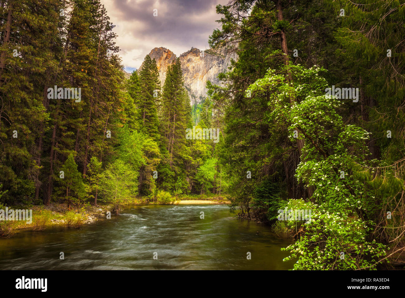 Yosemite's Merced River Stock Photo - Alamy