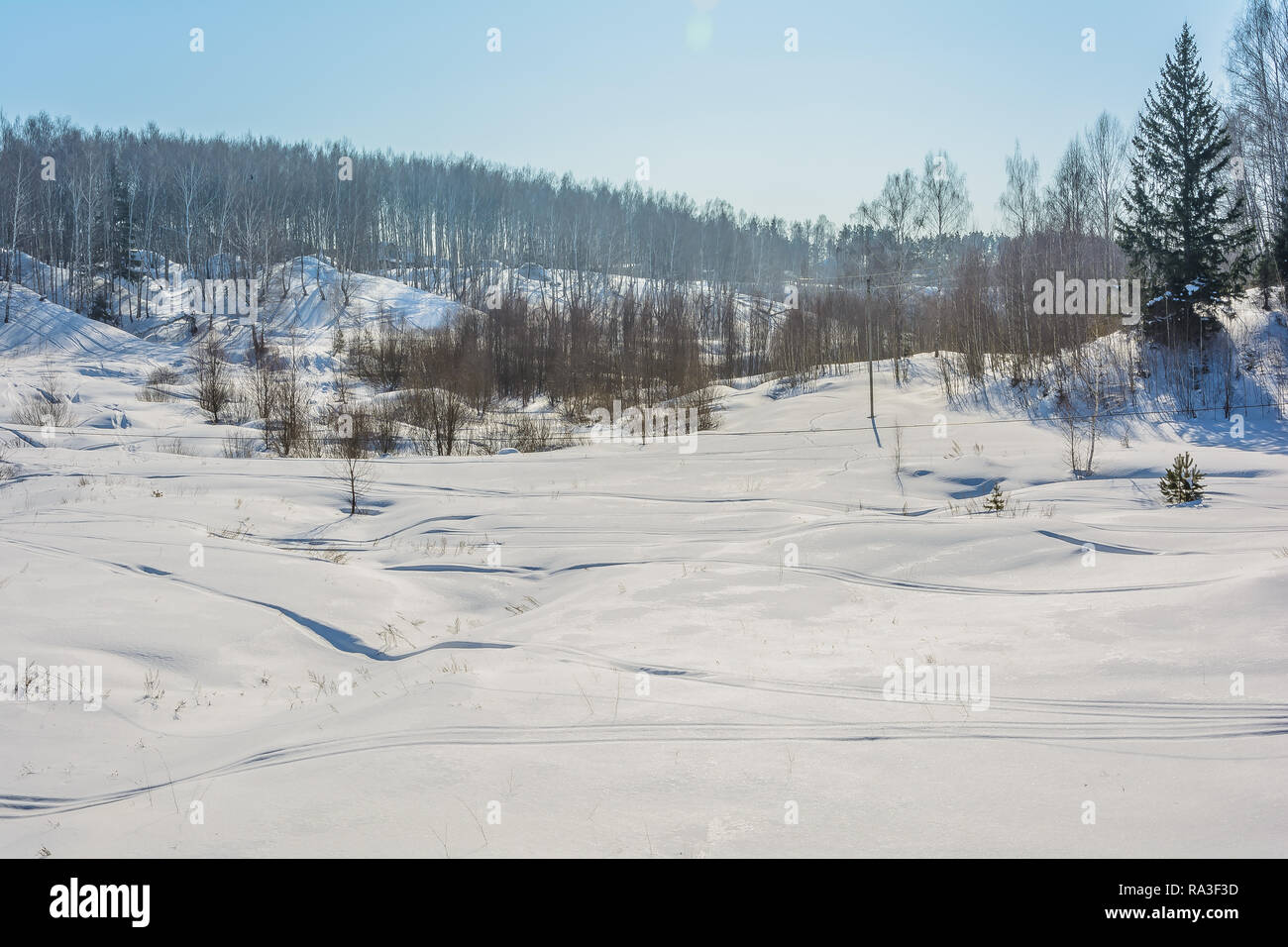 Snowy hills near the forest in winter Stock Photo - Alamy