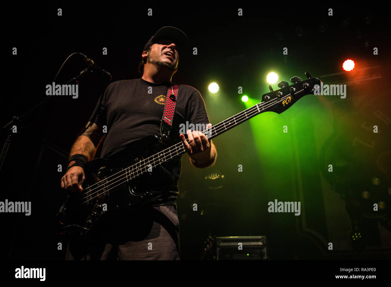 Zebrahead hi-res stock photography and images - Alamy