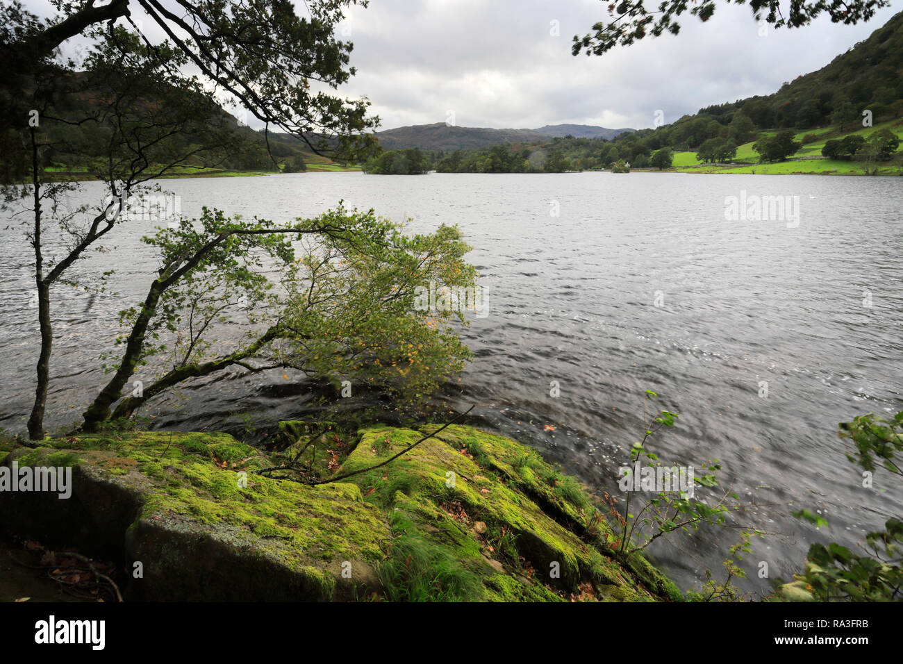 Autumn view over Rydal Water, Lake District National Park, Cumbria ...
