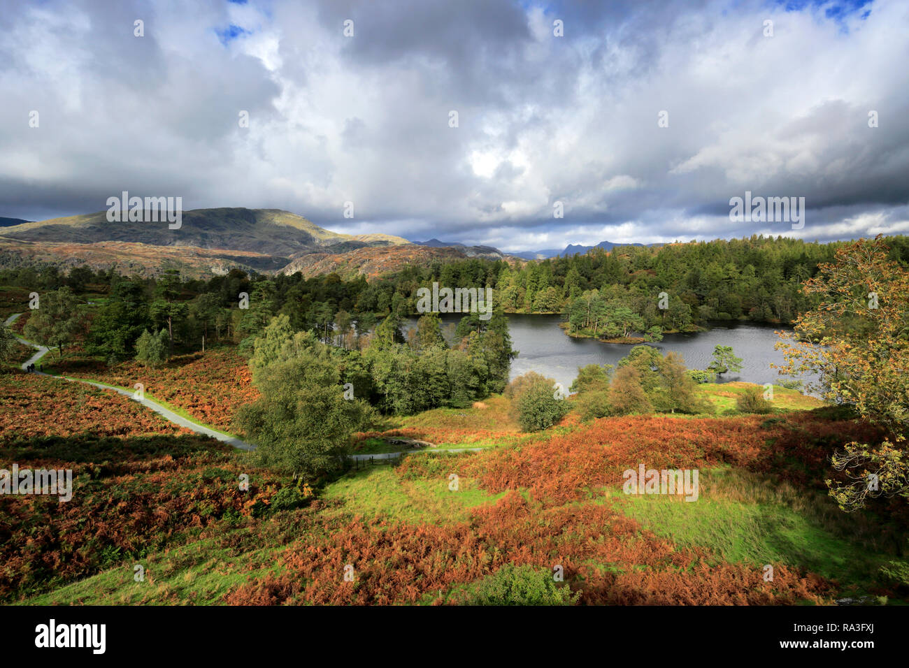Autumn view over Tarn Hows, Lake District National Park, Cumbria ...