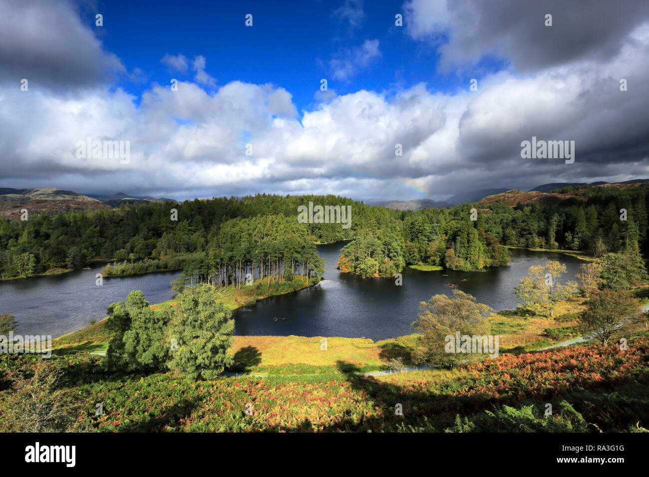 Autumn view over Tarn Hows, Lake District National Park, Cumbria ...