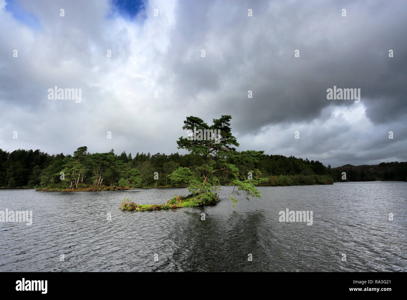 Autumn view over Tarn Hows, Lake District National Park, Cumbria ...
