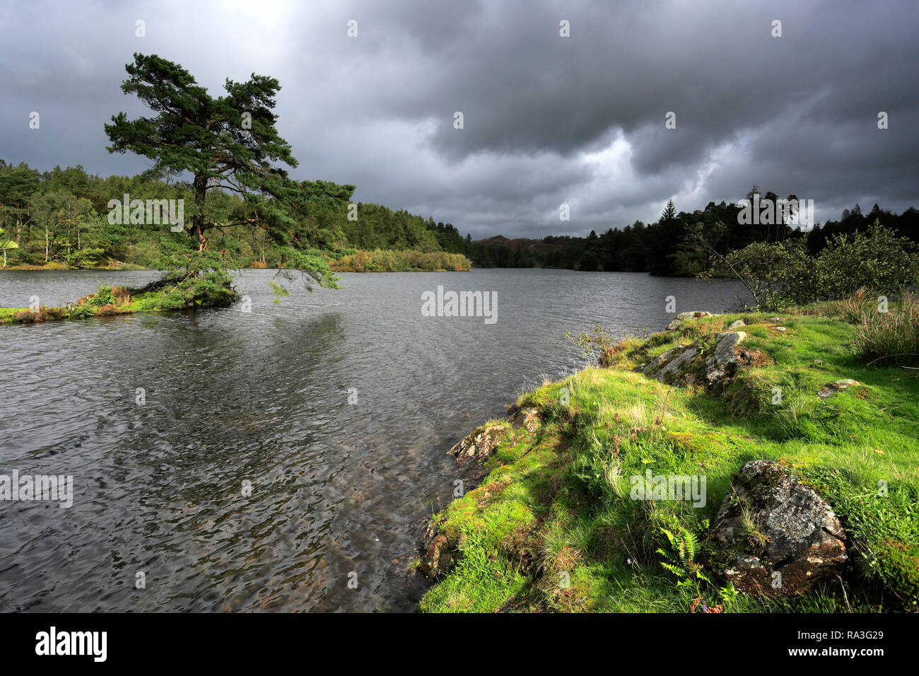 Autumn view over Tarn Hows, Lake District National Park, Cumbria ...