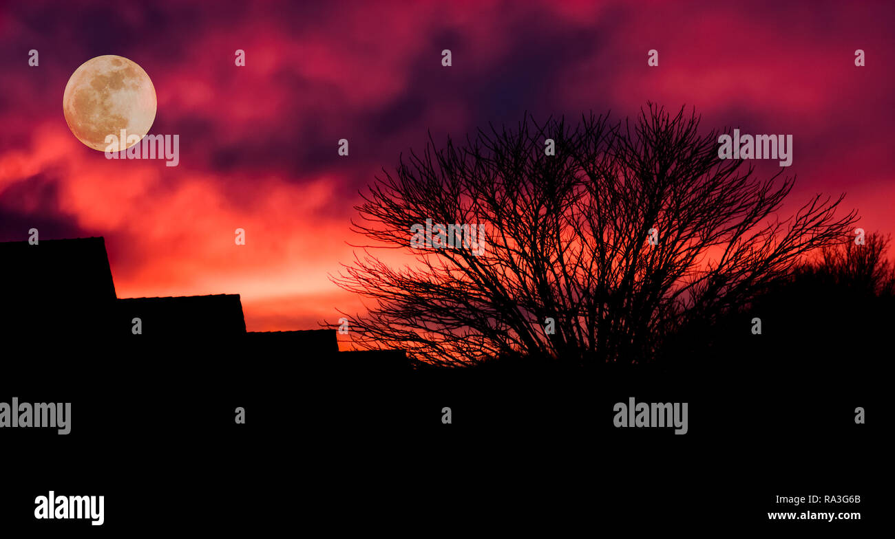dark silhouette of a village with a tree, blood red clouds and a moon ...
