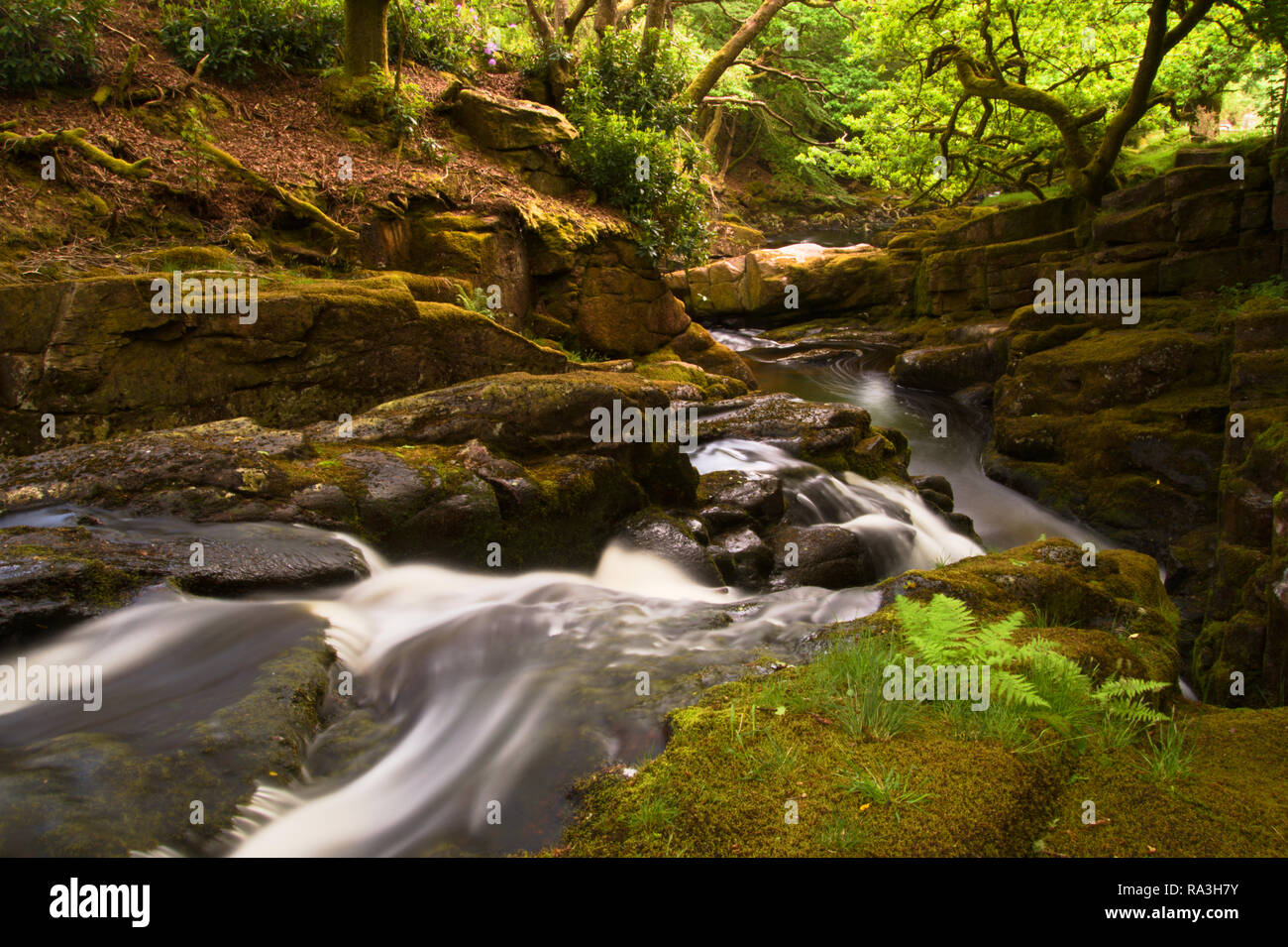 Running water of the River Avon taken at Shipley Bride in Spring/Summer ...