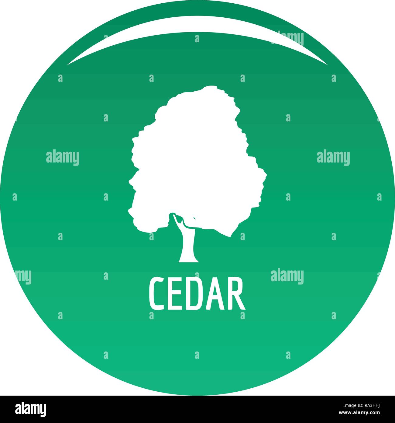 Cedar tree icon. Simple illustration of cedar tree vector icon for any ...