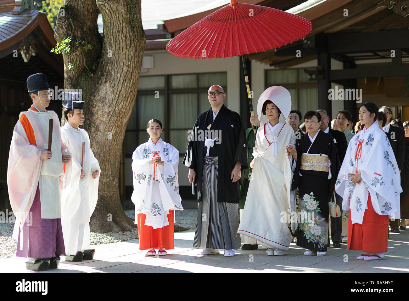Shinto wedding procession with bride wearing the traditional watabōshi ...