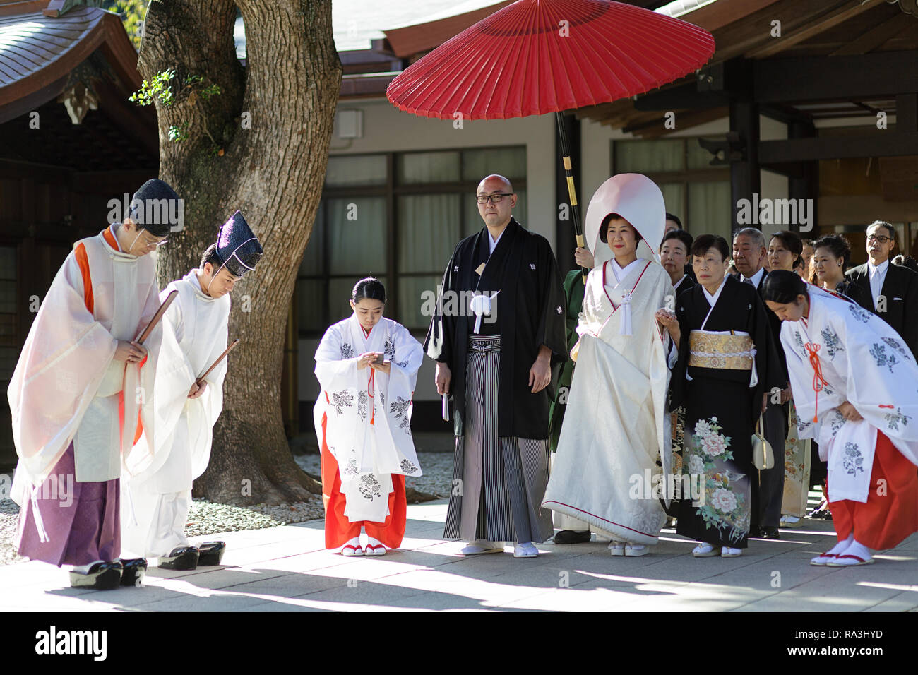 Shinto wedding procession with bride wearing the traditional watabōshi ...