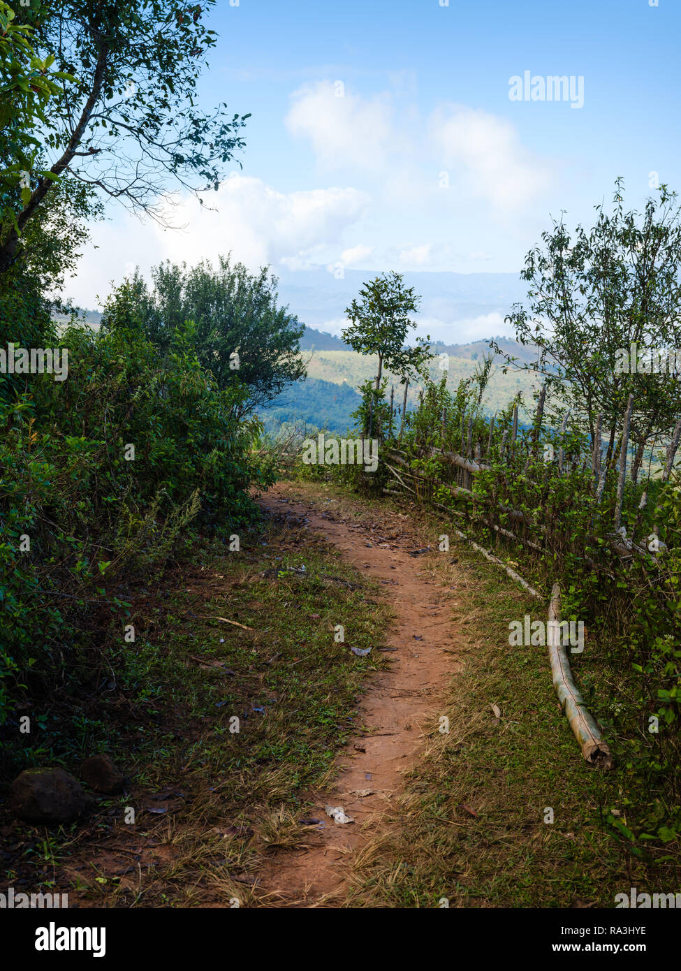 Typical hiking trail hi-res stock photography and images - Alamy