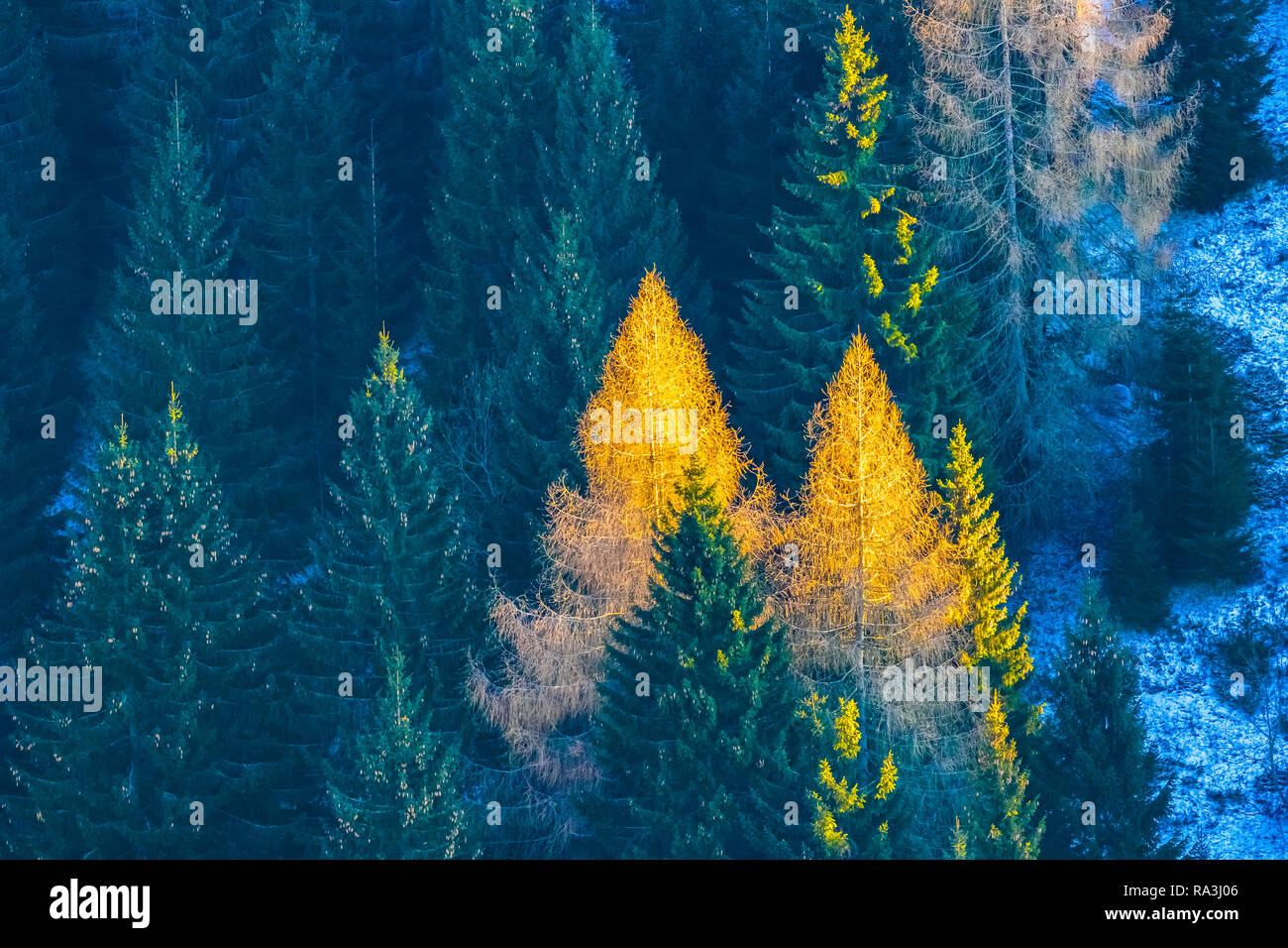Italy Veneto Monte Grappa - Versante di Seren del Grappa Stock Photo ...