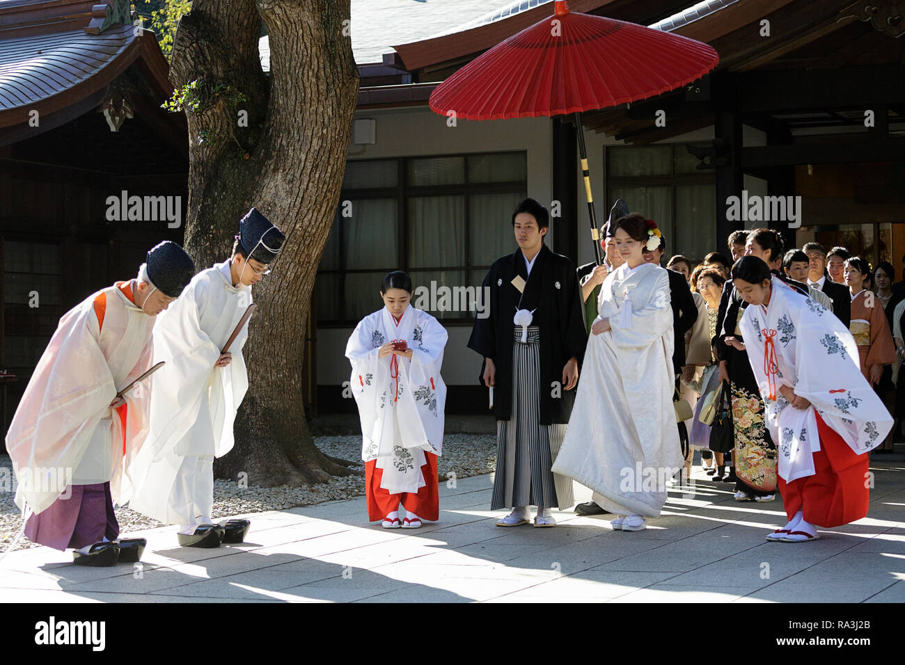 Shinto wedding procession with bride wearing the traditional watabōshi ...