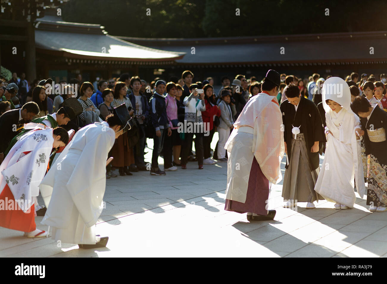 Shinto wedding procession with bride wearing the traditional watabōshi ...