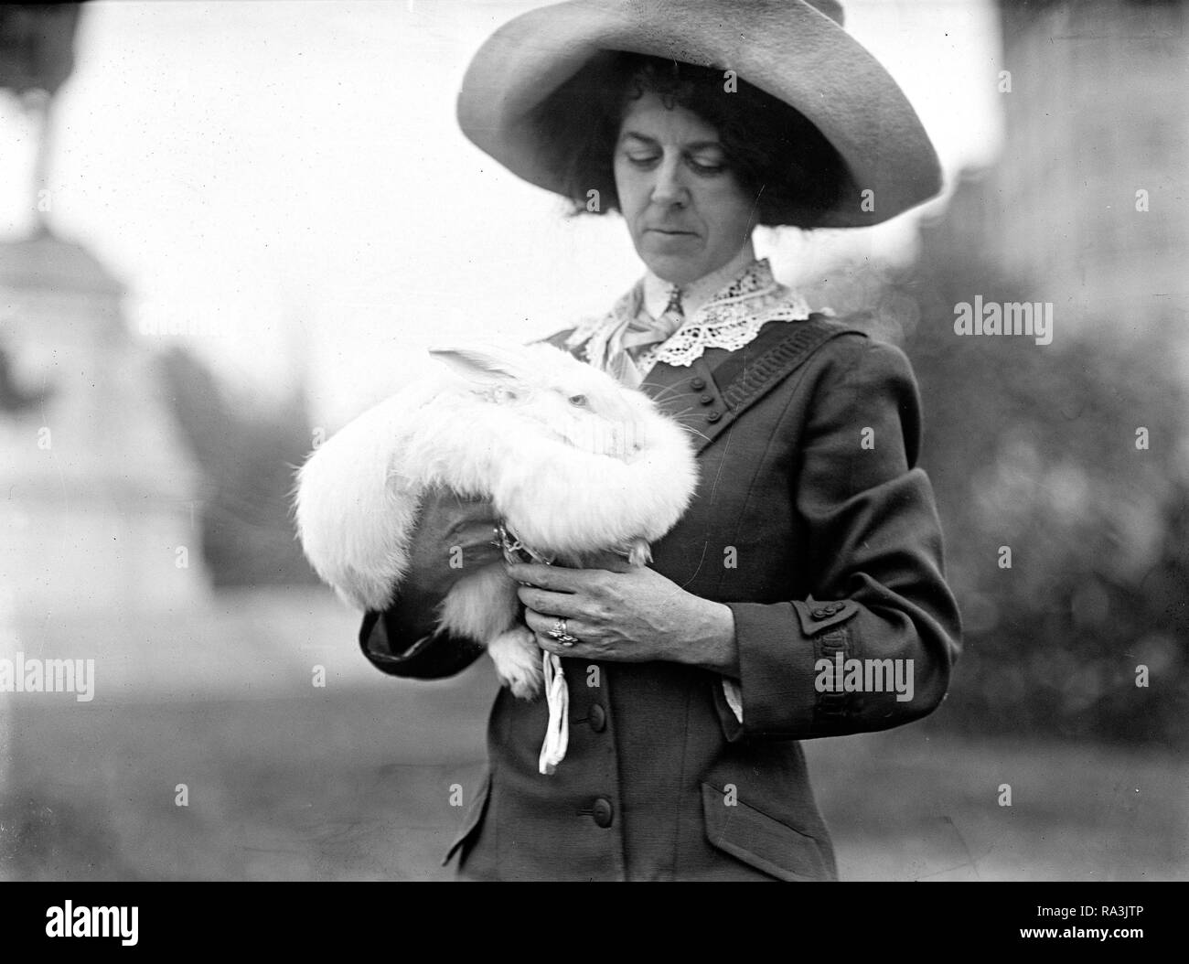 Woman with her pet rabbit ca. 1911 Stock Photo - Alamy