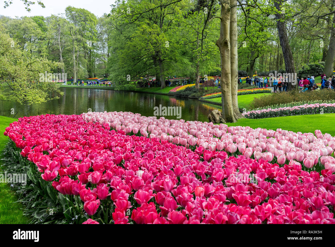 Spectacular display of spring flowering bulbs at the world's largest ...