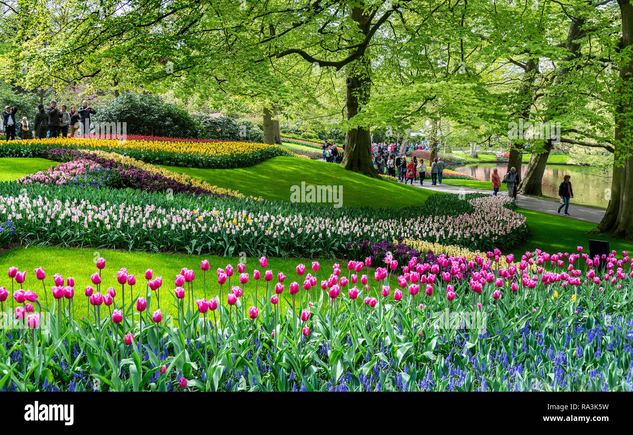 Spectacular display of spring flowering bulbs at the world's largest ...