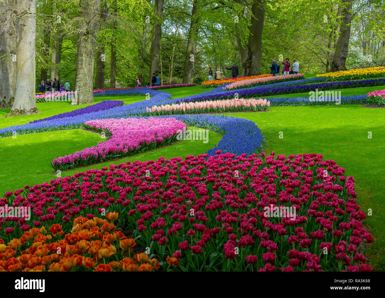 Spectacular display of spring flowering bulbs at the world's largest ...