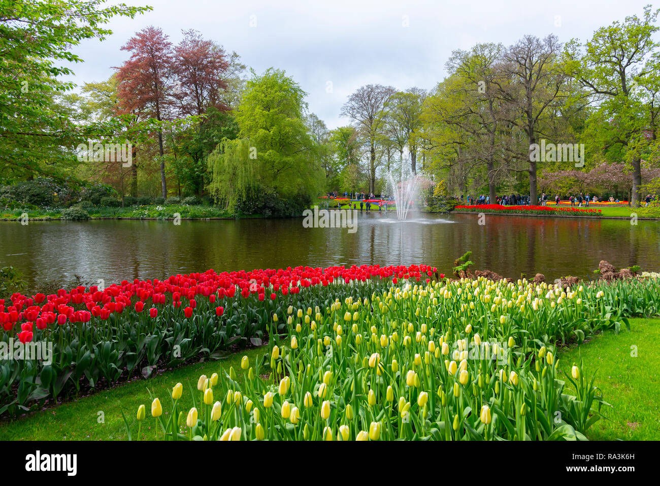 Spectacular display of spring flowering bulbs at the world's largest ...