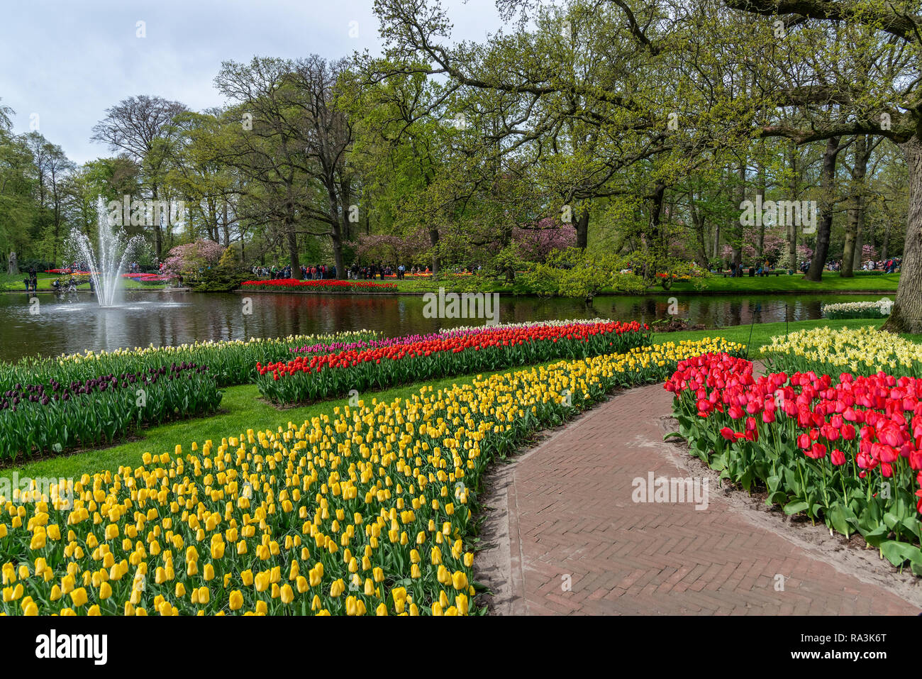 Spectacular display of spring flowering bulbs at the world's largest ...