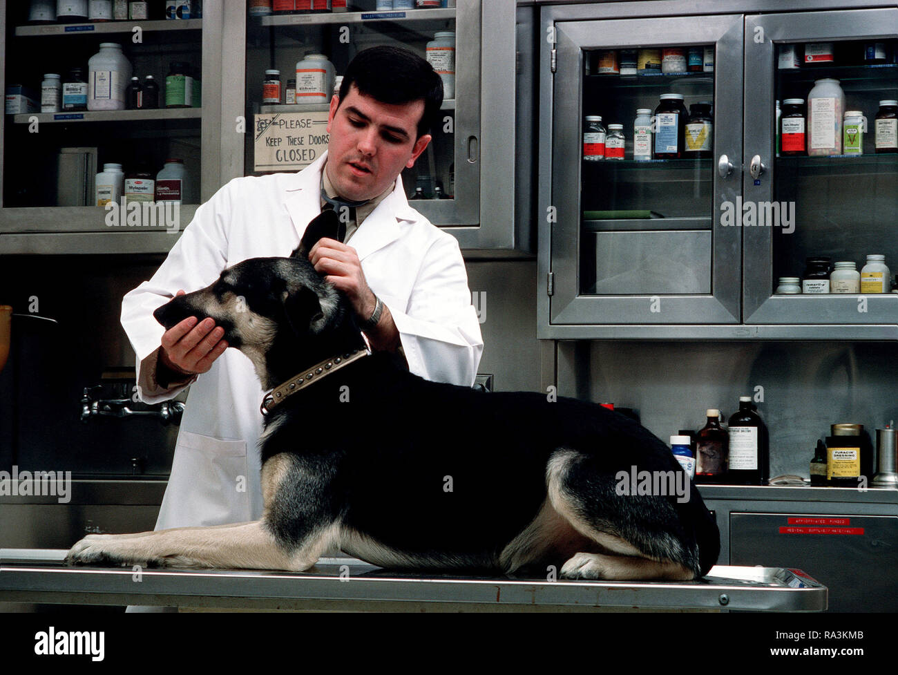 1970s vet examines a dog hi-res stock photography and images - Alamy