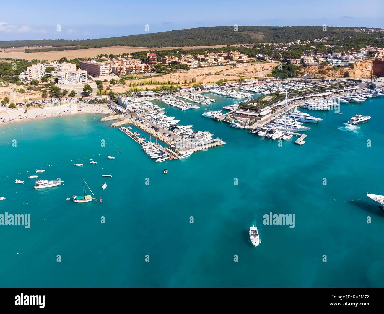 El toro majorca hi-res stock photography and images - Alamy