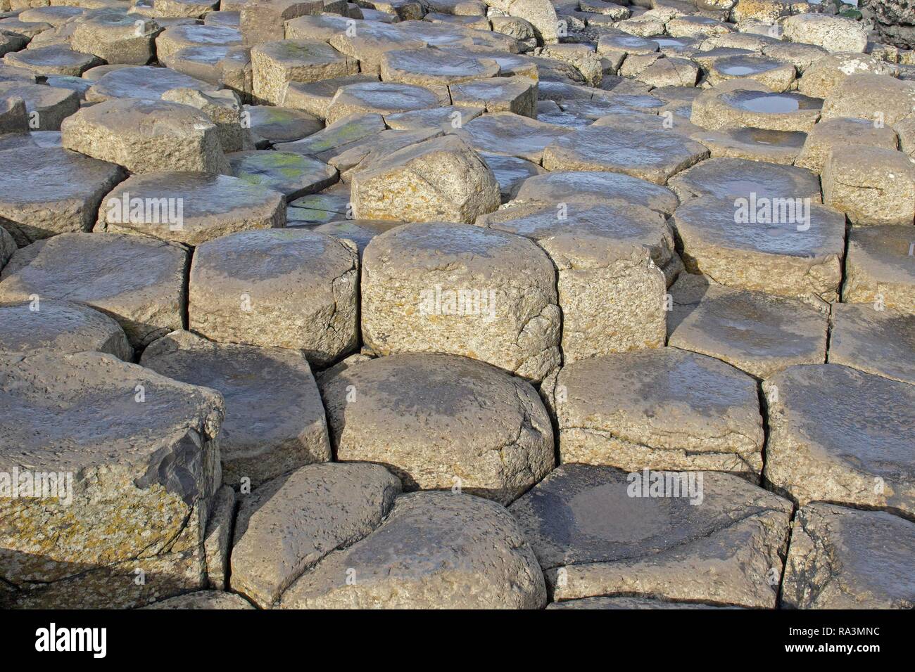 Basalt columns, Giant's Causeway, Causeway Coast, County Antrim ...